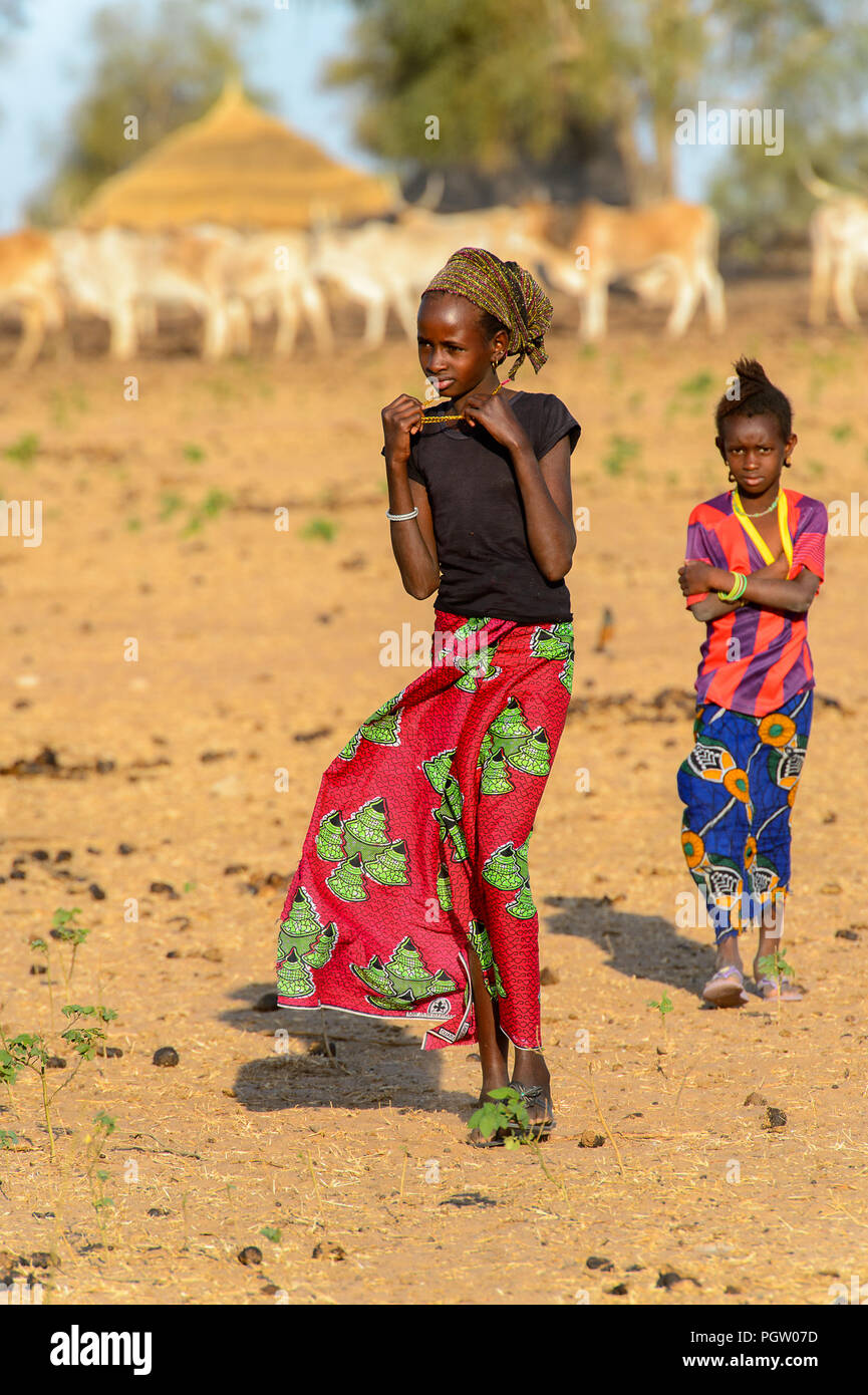 Ferlo desert hi-res stock photography and images - Alamy