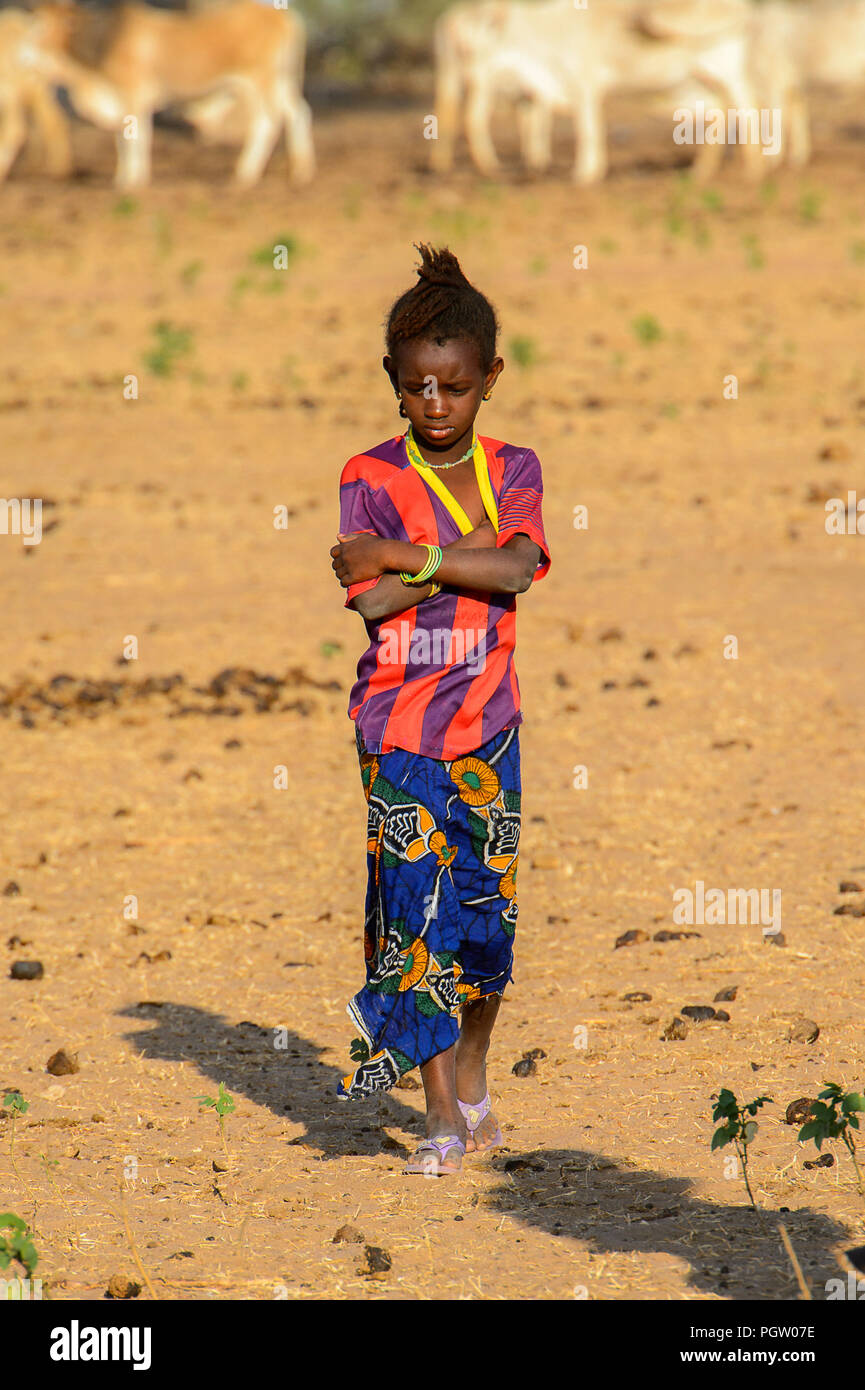 Ferlo desert hi-res stock photography and images - Alamy