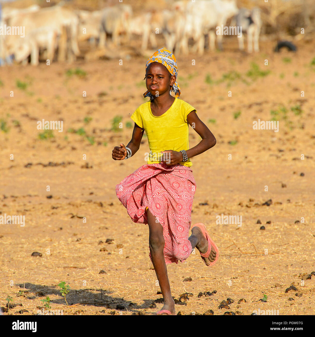 Ferlo desert hi-res stock photography and images - Alamy