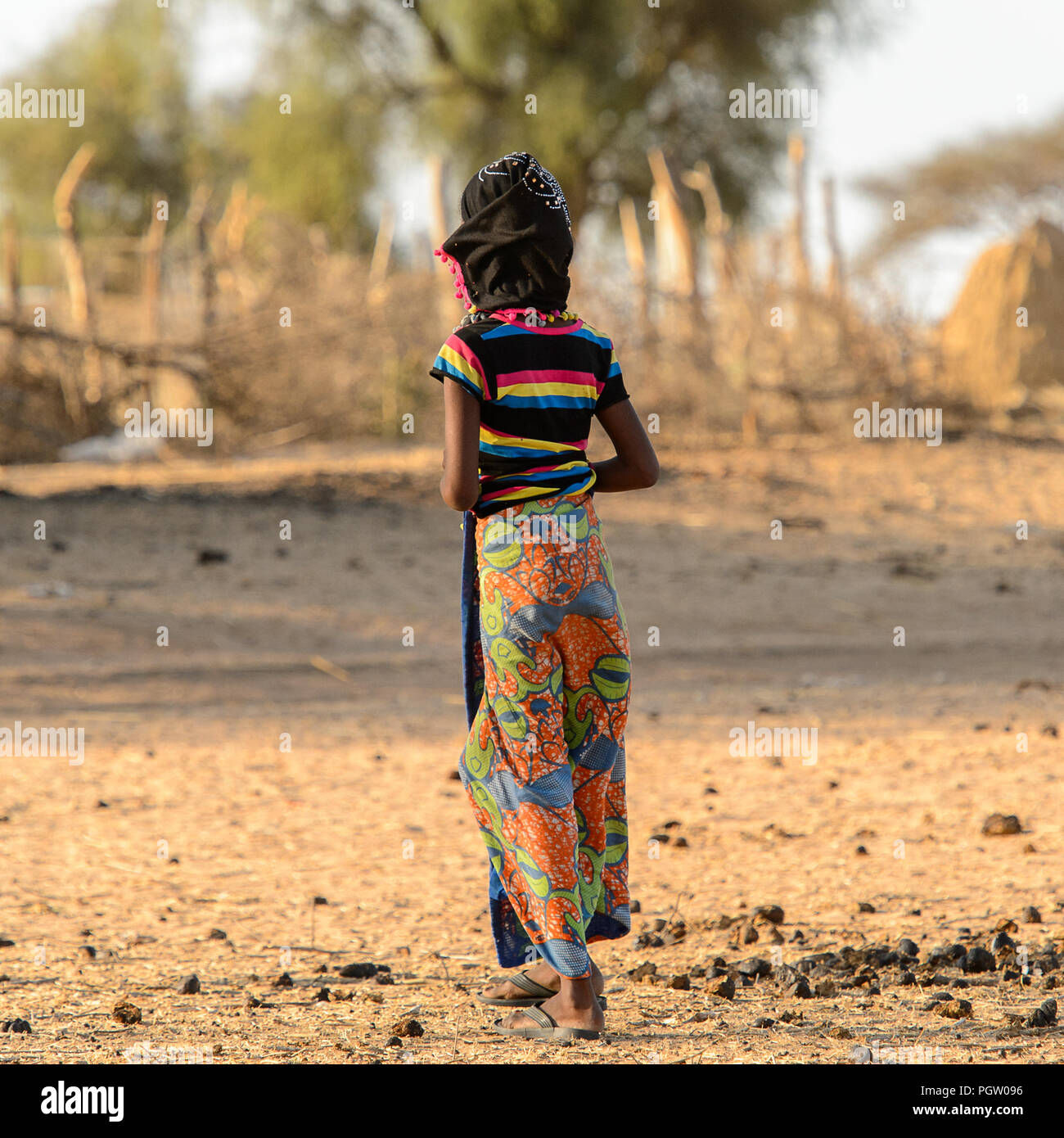 Ferlo desert hi-res stock photography and images - Alamy