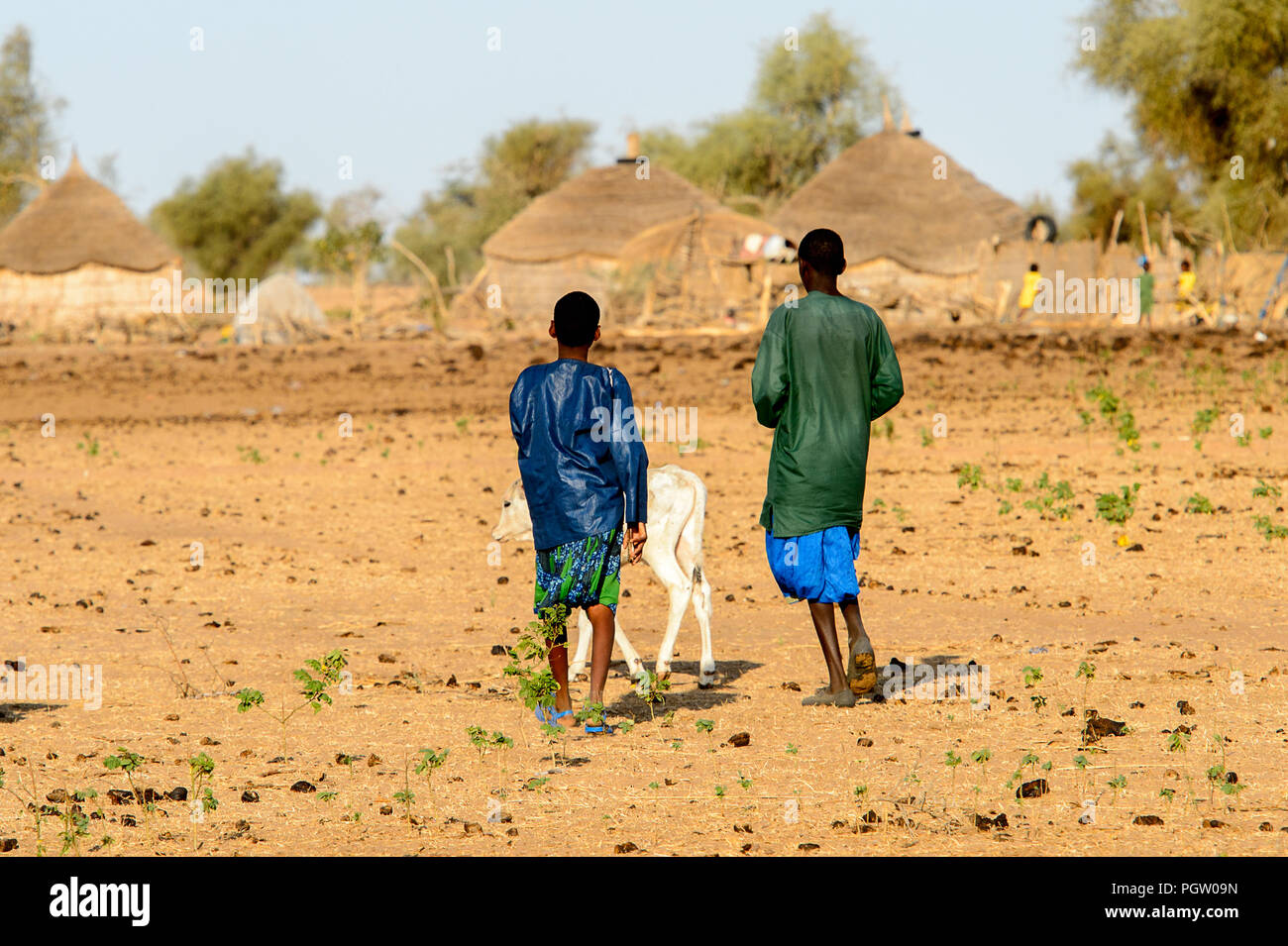 Ferlo Desert High Resolution Stock Photography and Images - Alamy