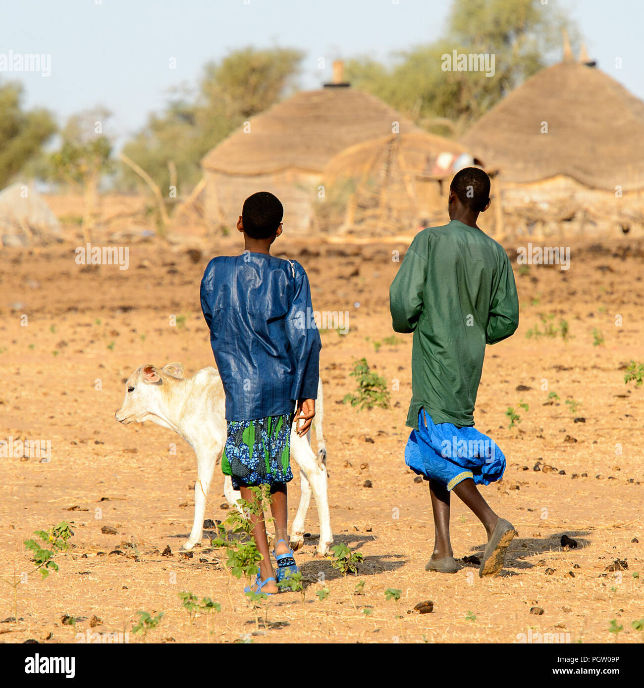 FERLO DESERT, SENEGAL - APR 25, 2017: Unidentified Fulani two boys ...