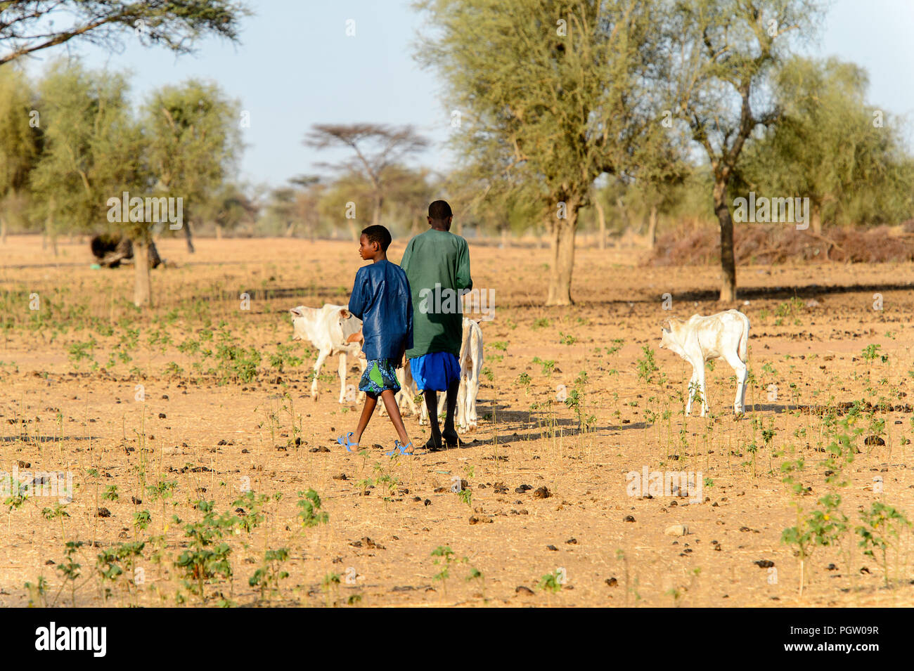 FERLO DESERT, SENEGAL - APR 25, 2017: Unidentified Fulani two boys ...