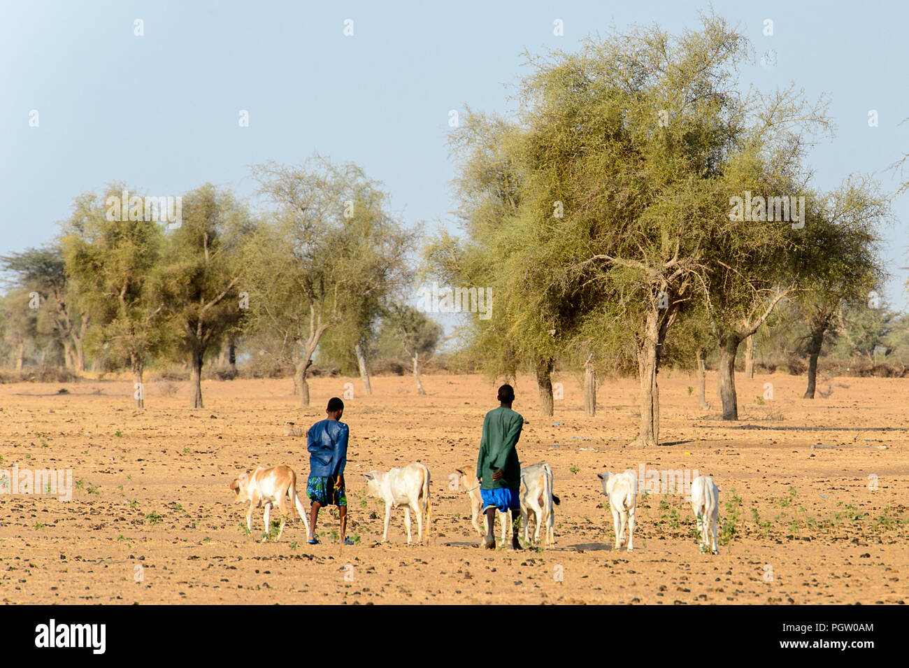 Ferlo Desert High Resolution Stock Photography and Images - Alamy