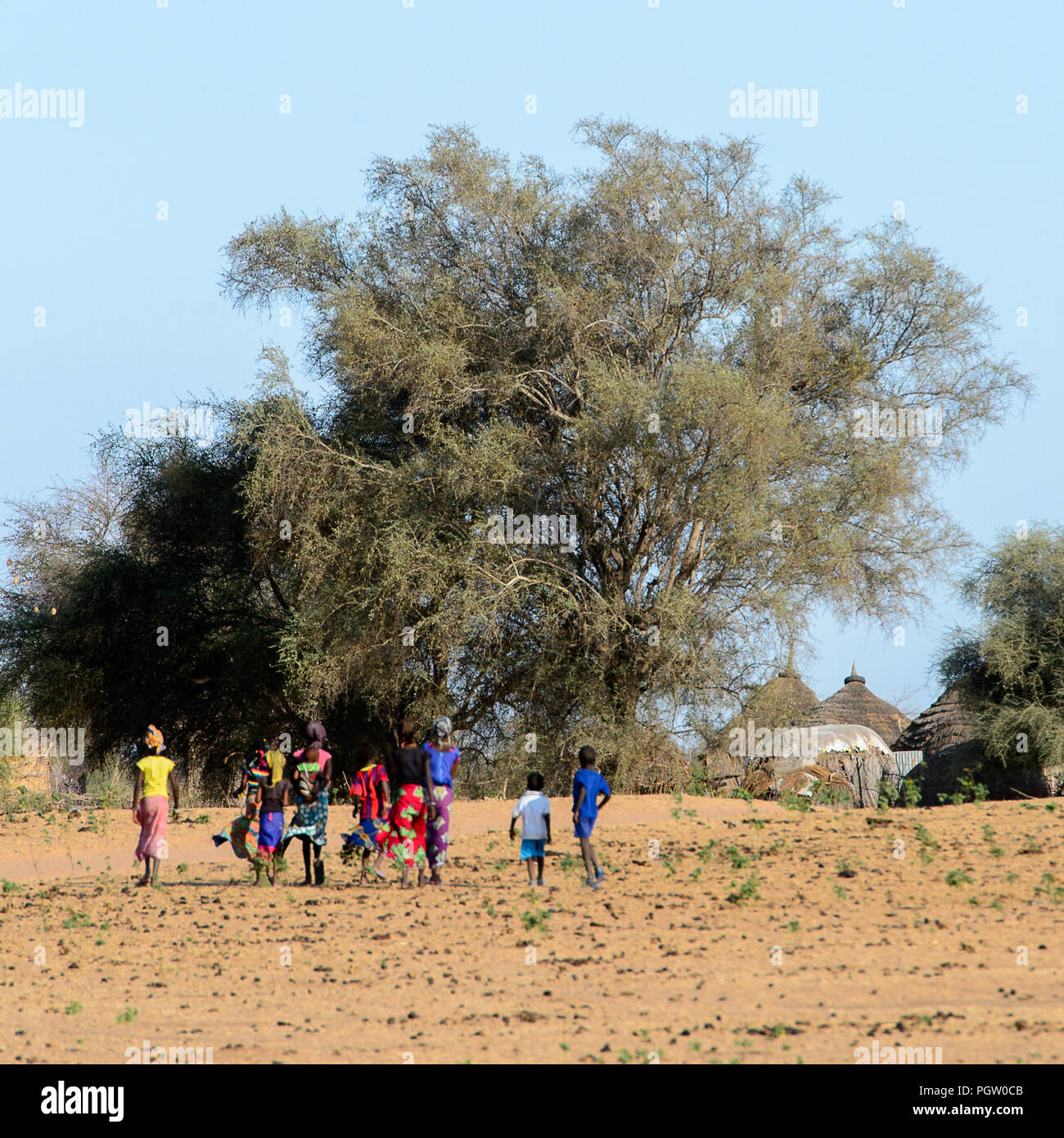FERLO DESERT, SENEGAL - APR 25, 2017: Unidentified Fulani people walk ...