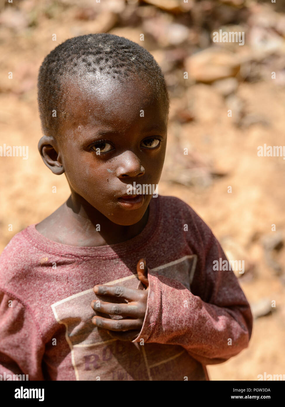 Guinea People The Look