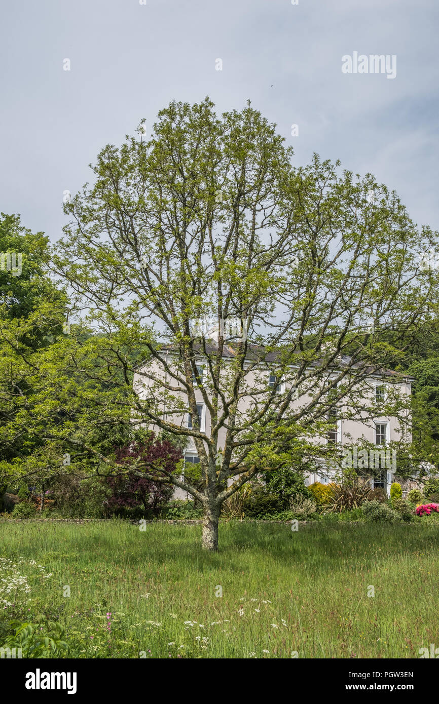 Colby garden hi-res stock photography and images - Alamy