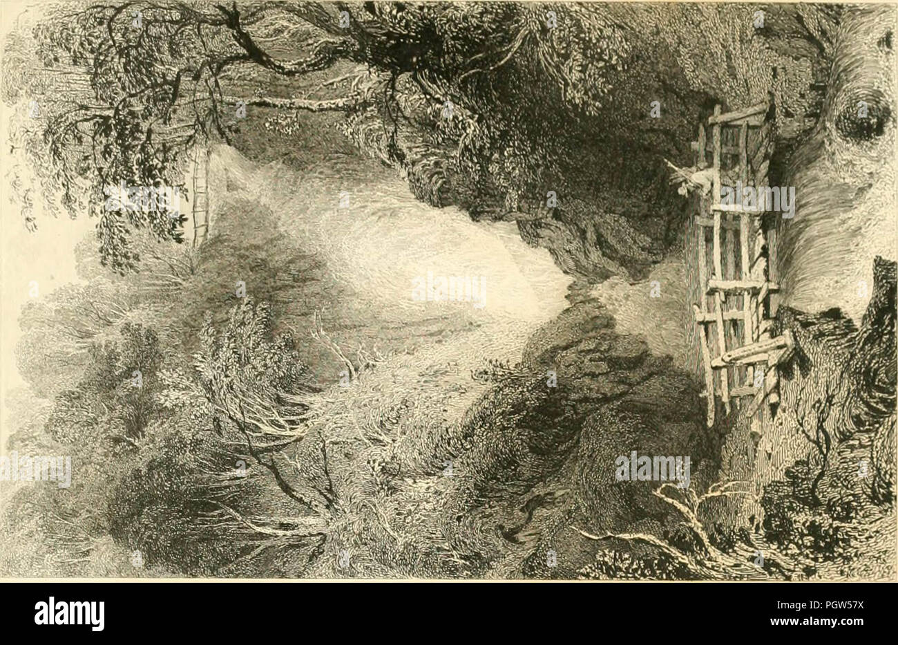 "Westmoreland, Cumberland, Durham, and Northumberland, illustrated ...