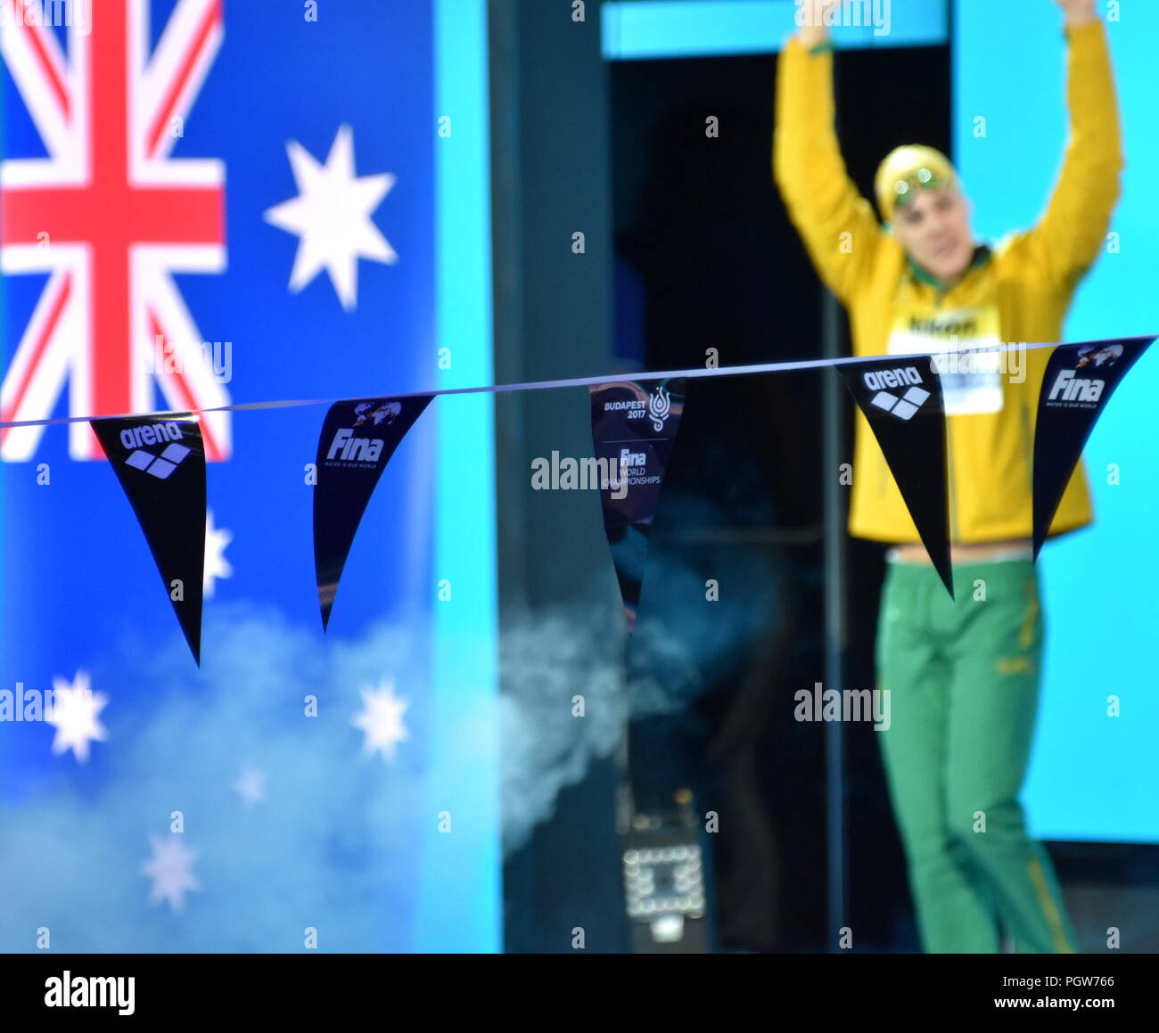 Budapest, Hungary - Jul 25, 2017. arena logo on the backstroke ...