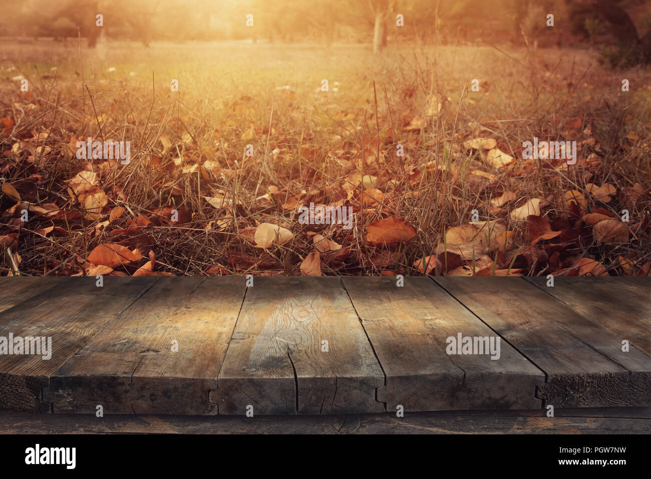 image of front rustic wood boards and background of fall leaves in ...