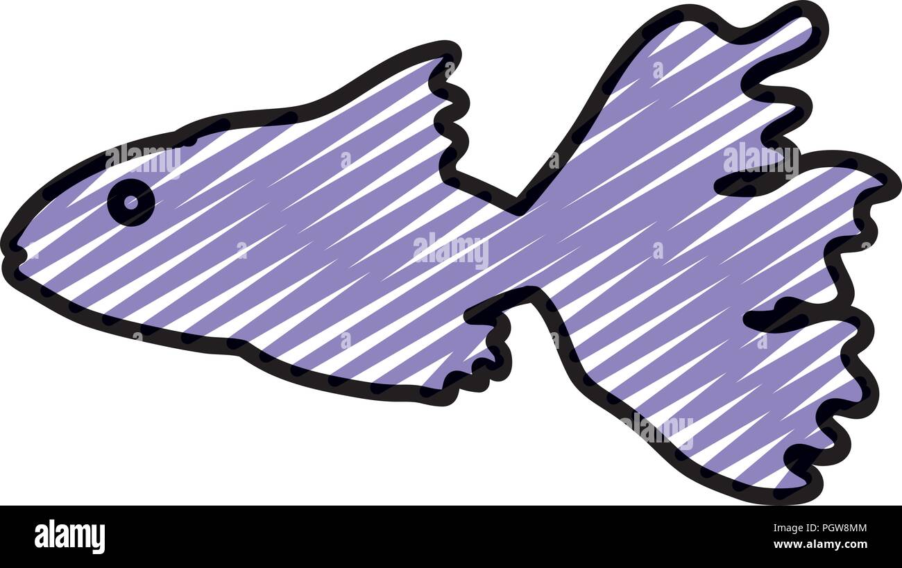 Ballerina fish hi-res stock photography and images - Alamy