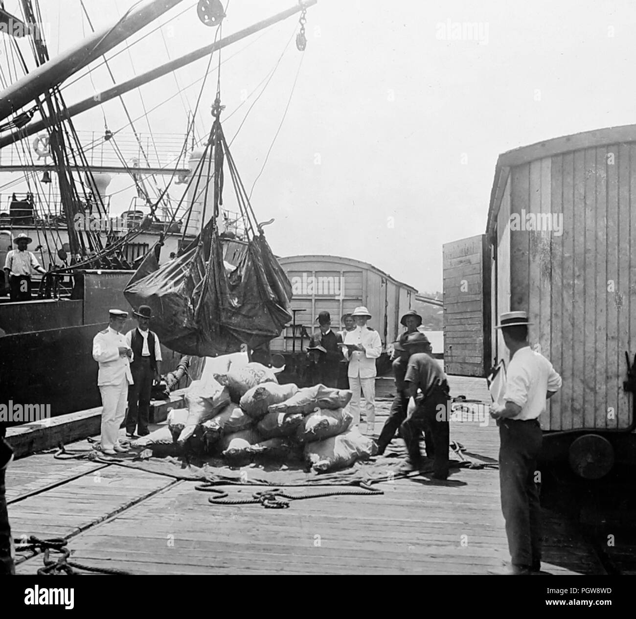 Loading frozen beef for export, Brisbane, Australia, early 1900s Stock ...