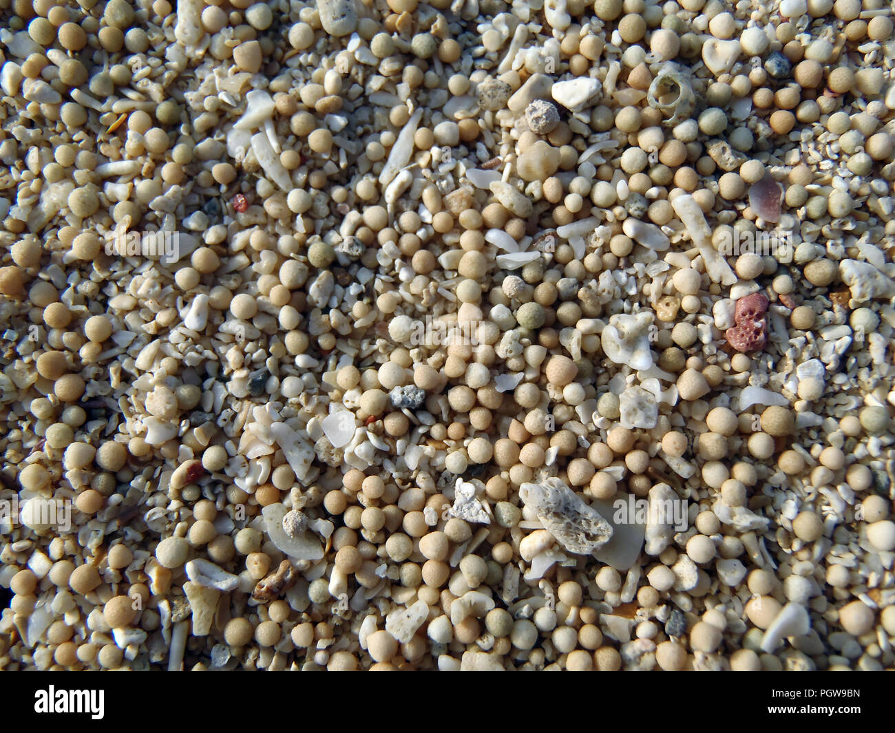 big particles sand close up background, Asia Stock Photo - Alamy