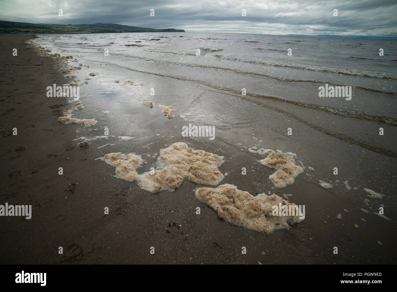 Foam beach hi-res stock photography and images - Alamy