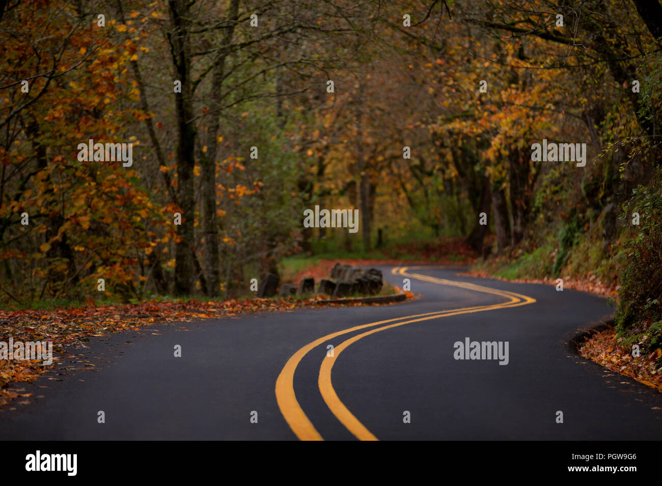 Autumn winding road along the Columbia River Gorge historic highway ...