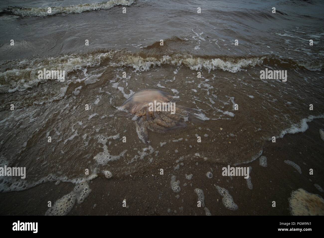 Barrel on beach hi-res stock photography and images - Alamy