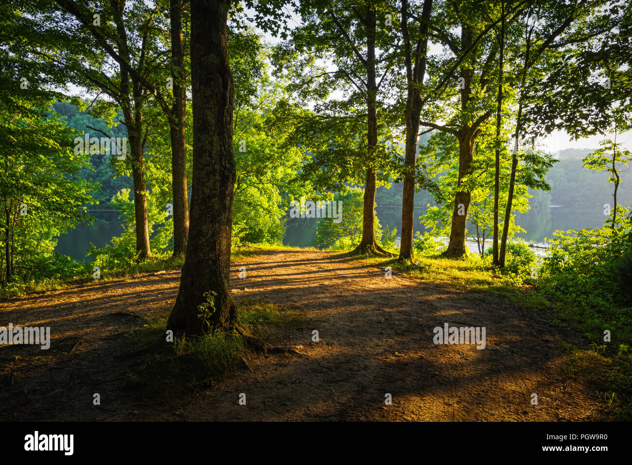 The sunshine provides the backdrop in this pull off area on the edge of ...