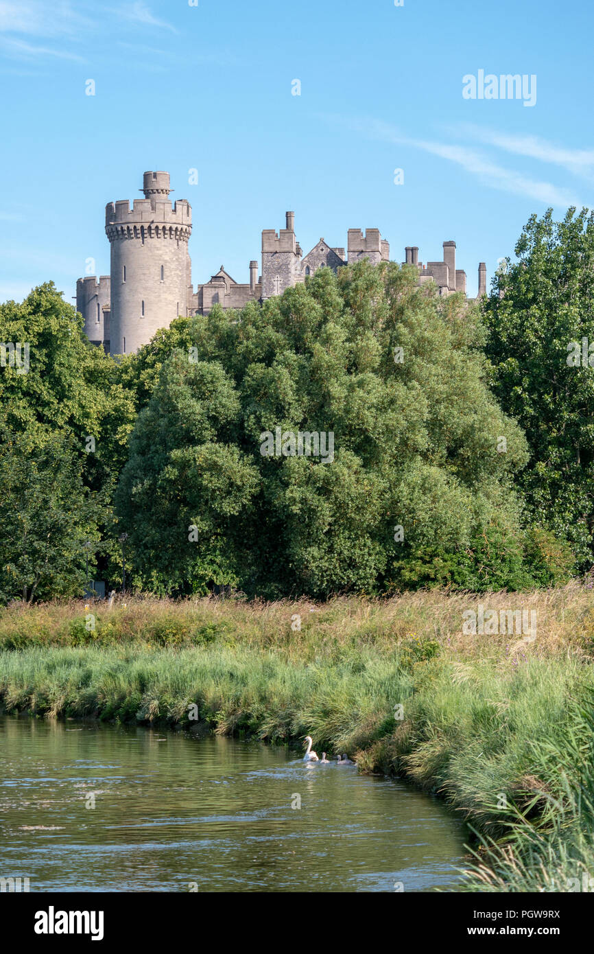 The River Arun with Arundel Castle just visible in the middle ...