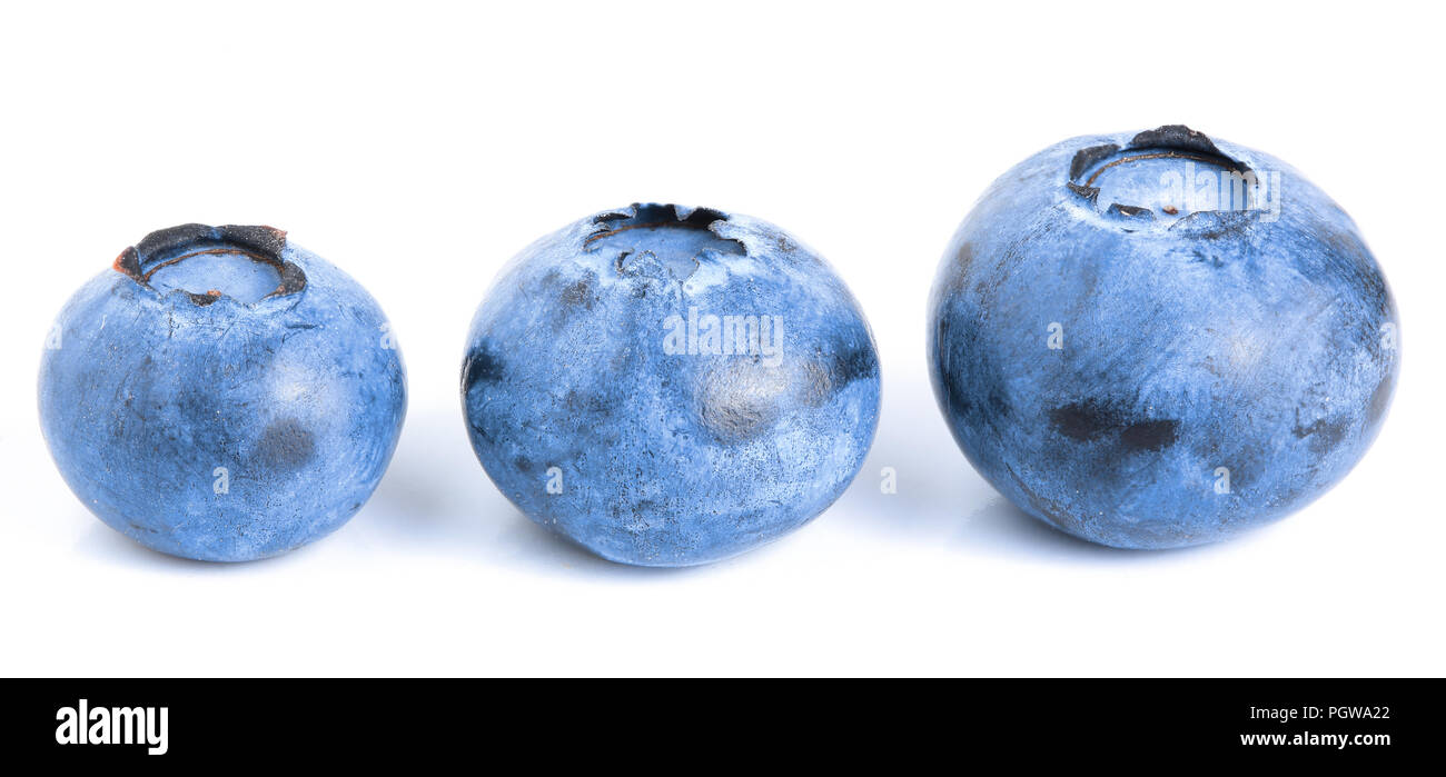 three fresh blueberry isolated on white background Stock Photo - Alamy