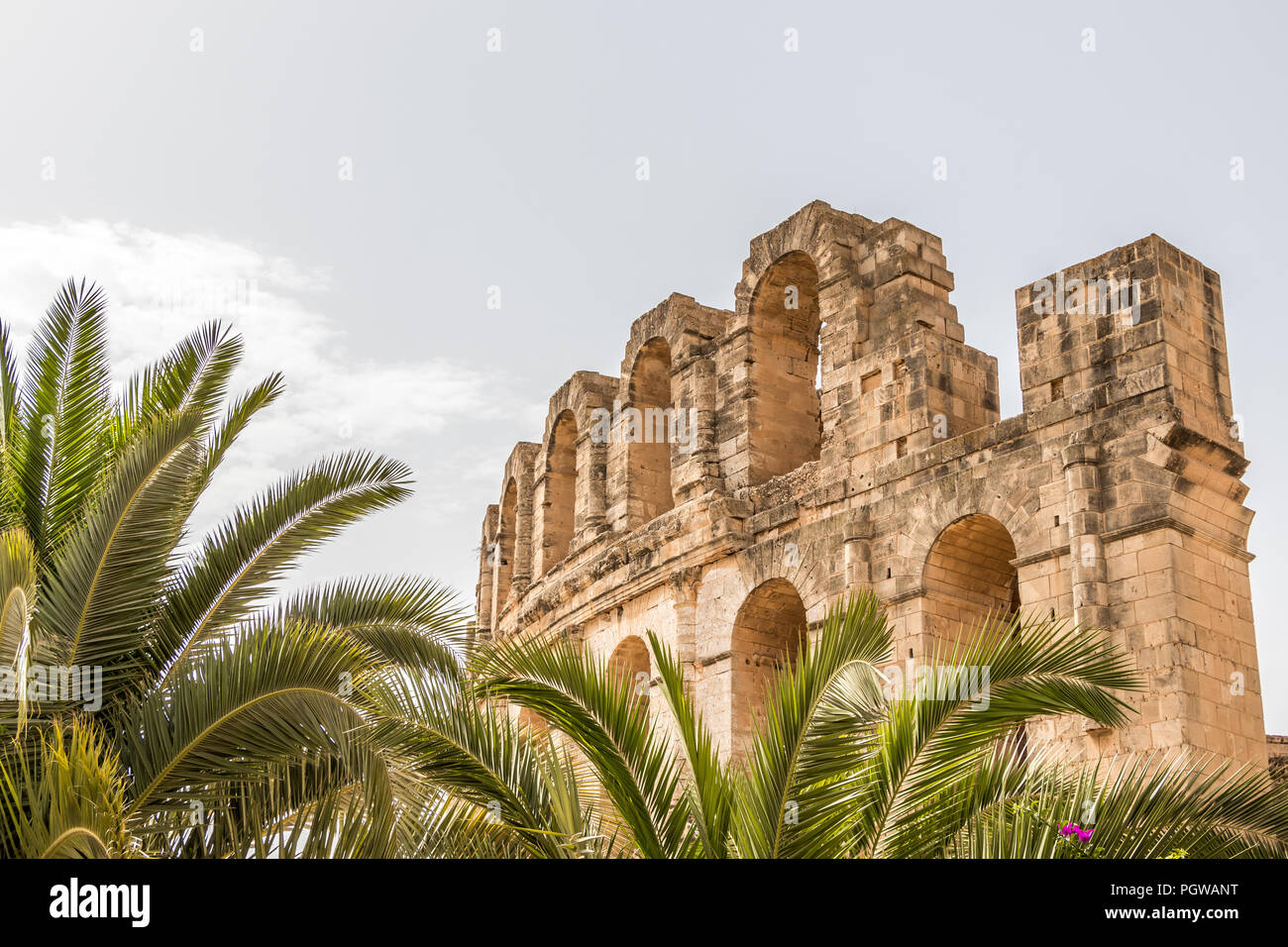 Palm trees and the Roman Amphitheatre of El Djem, Tunisia, Africa Stock ...