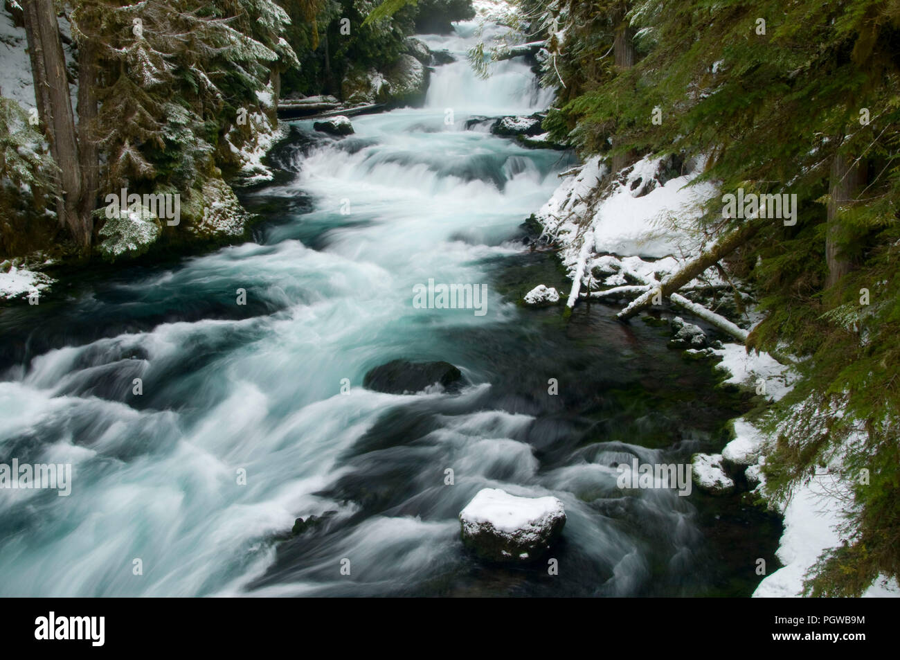 Mckenzie river national wild and scenic river hi-res stock photography ...