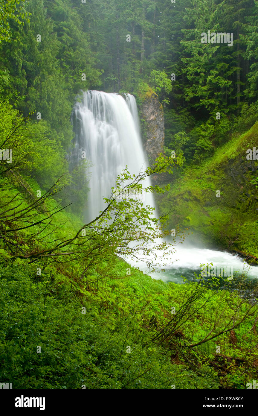 Marion Falls, Mt Jefferson Wilderness, Willamette National Forest ...