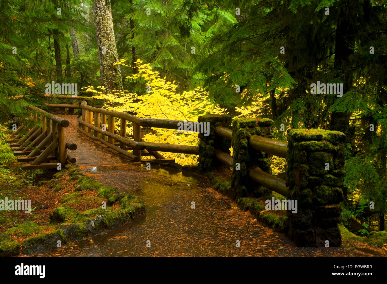 Rockwork fence, McKenzie Wild and Scenic River, McKenzie Pass-Santiam ...