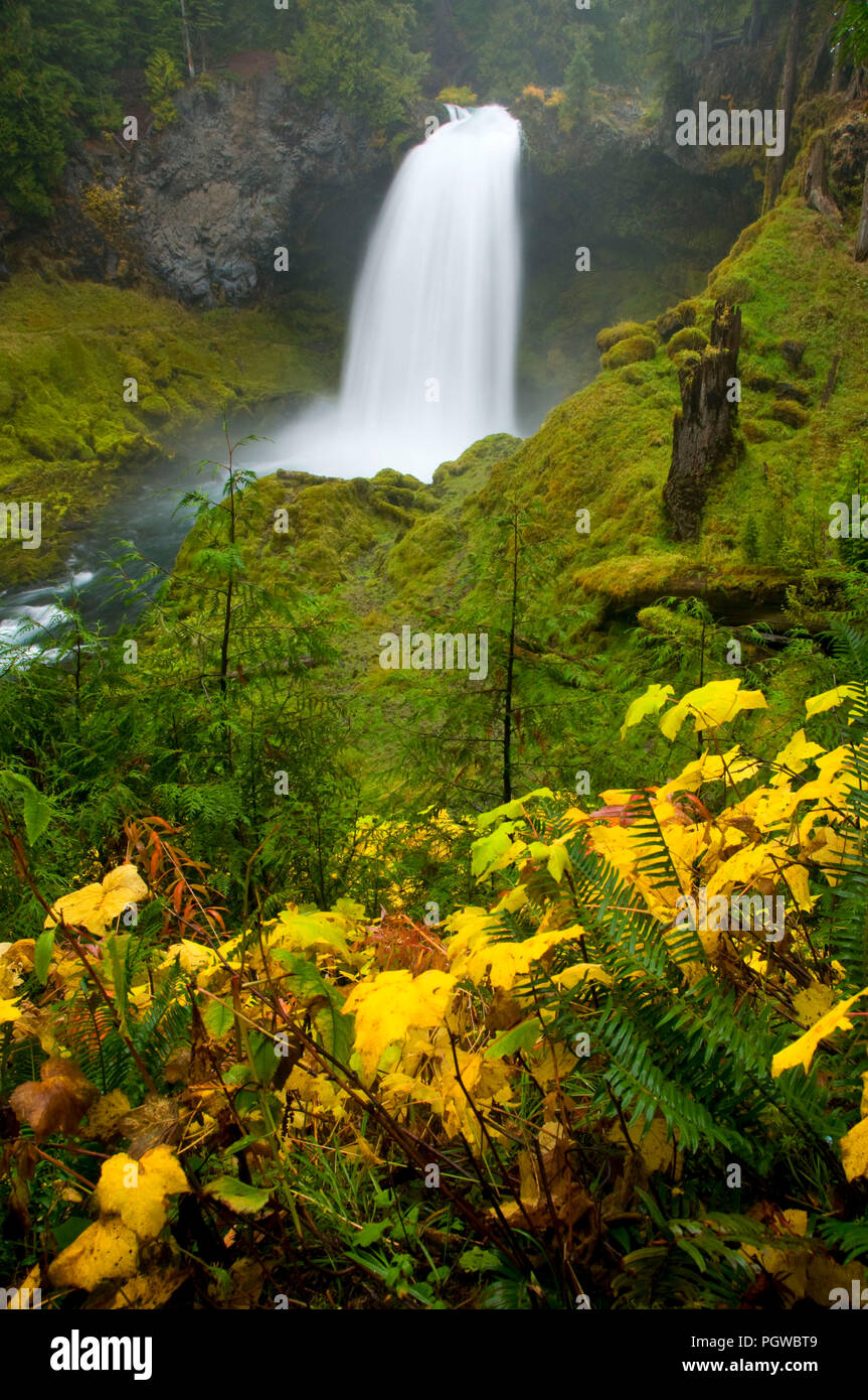 Sahalie Falls, McKenzie Wild and Scenic River, McKenzie Pass-Santiam ...