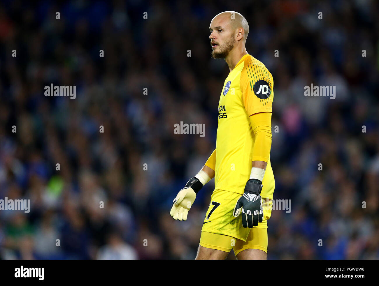 Brighton & Hove Albion goalkeeper David Button Stock Photo - Alamy