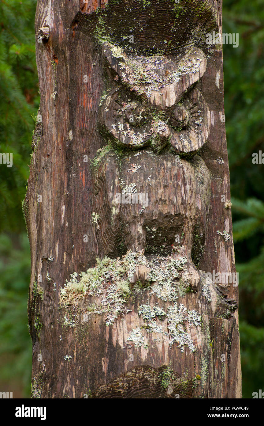 Owl carving, Magness Memorial Tree Farm, Oregon Stock Photo - Alamy