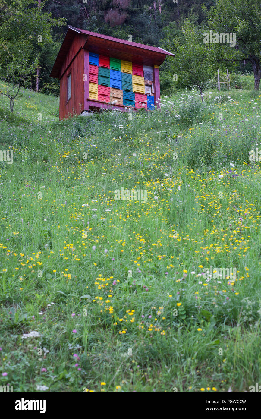 Colorful beehive in a meadow full of flowers Stock Photo - Alamy