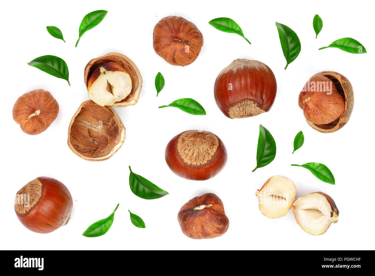 Hazelnuts with leaves isolated on white background. Top view. Flat lay ...
