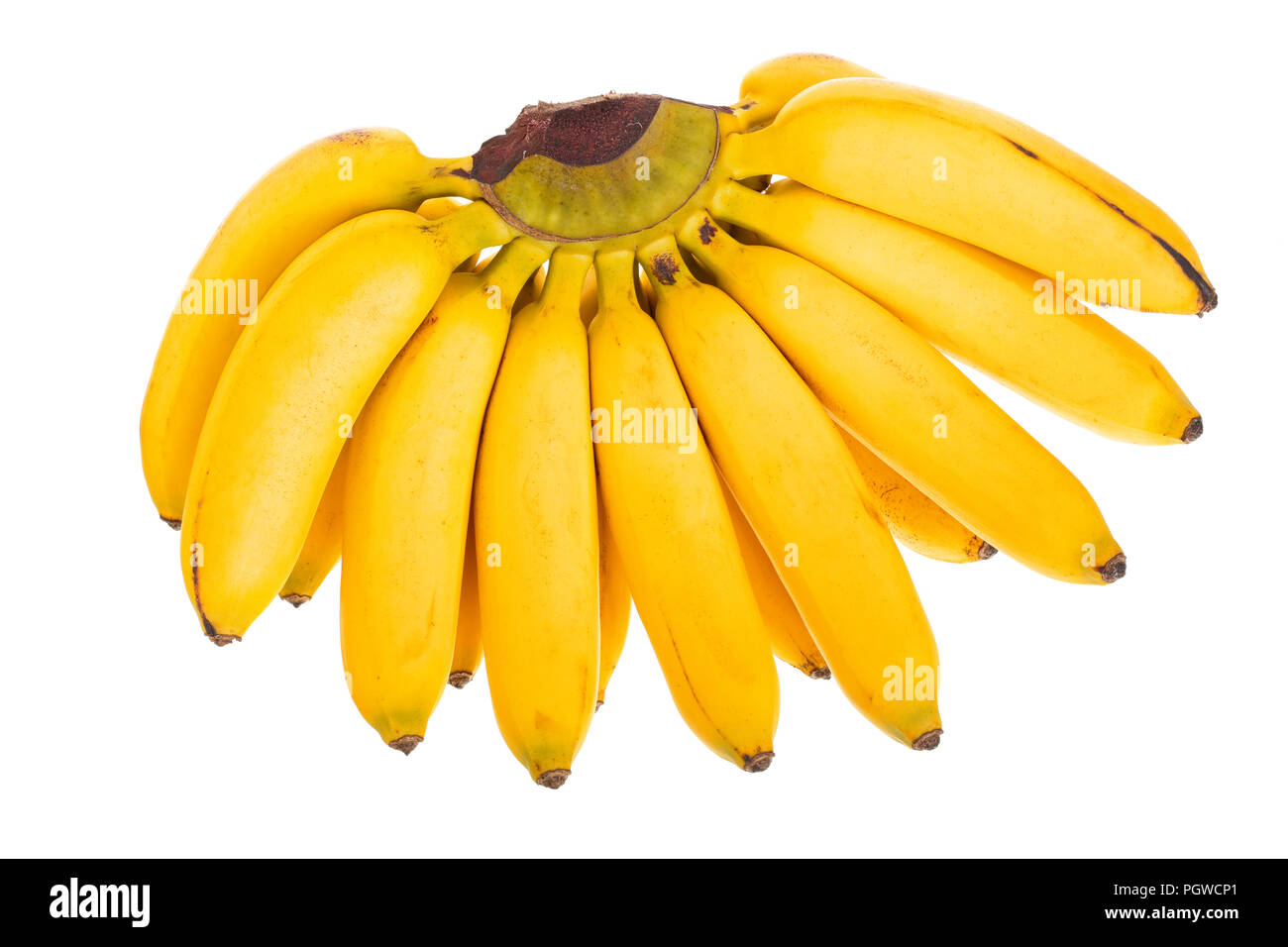 Mini bananas isolated on white background. Top view. Flat lay Stock ...