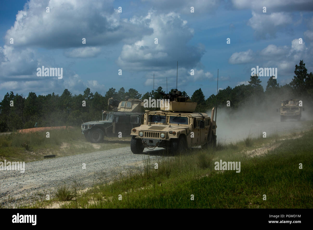 Caat platoon hi-res stock photography and images - Alamy