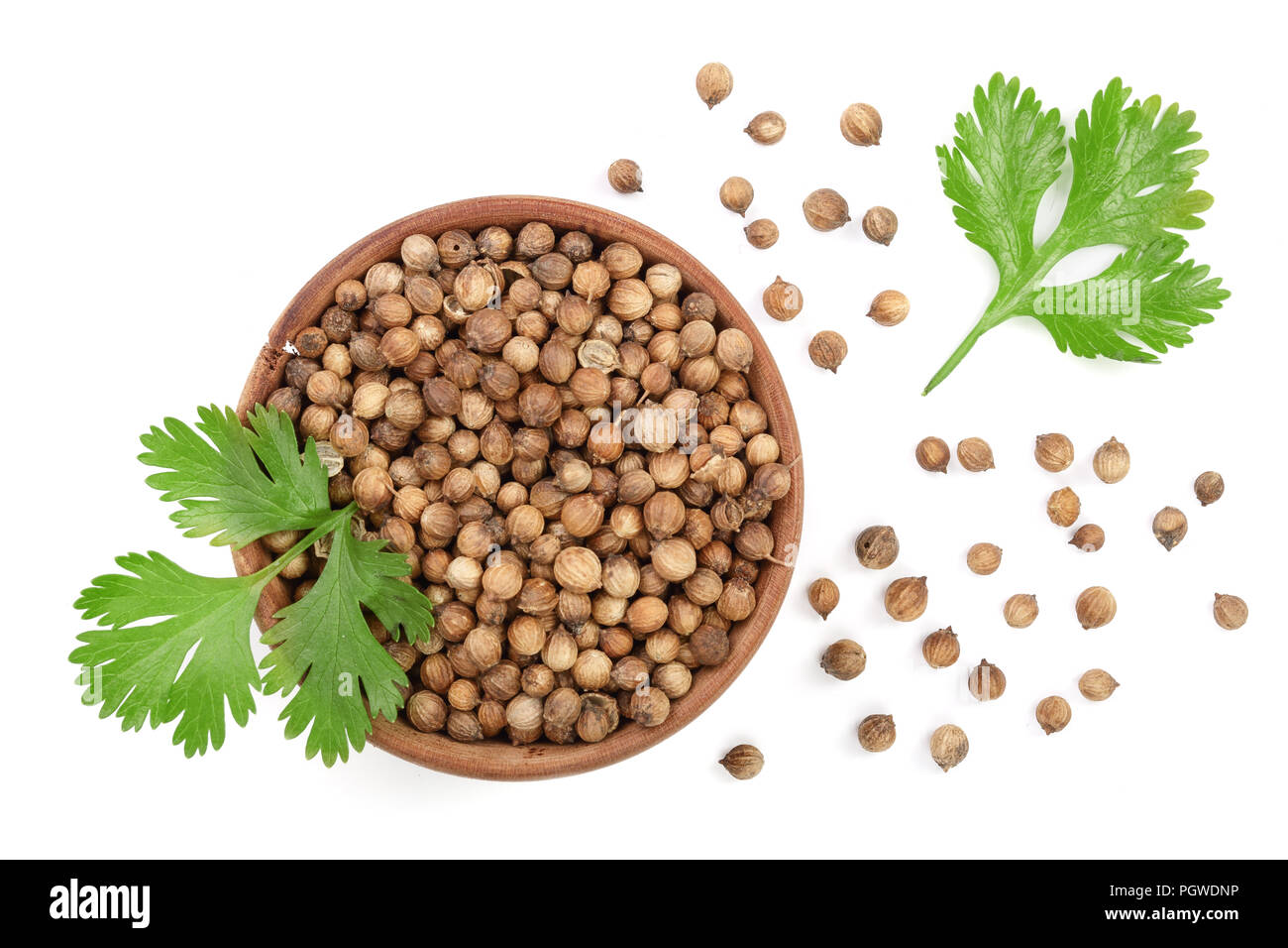 coriander seed and leaves in wooden bowl isolated on white background ...