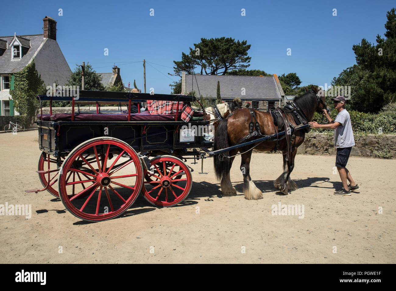Positioning a Horse drawn tourist carriage on Sark Island, near ...
