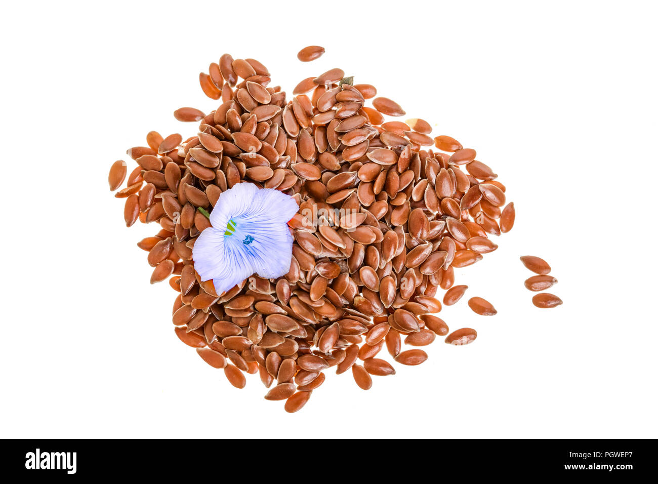 Flaxseed Flower High Resolution Stock Photography and Images - Alamy