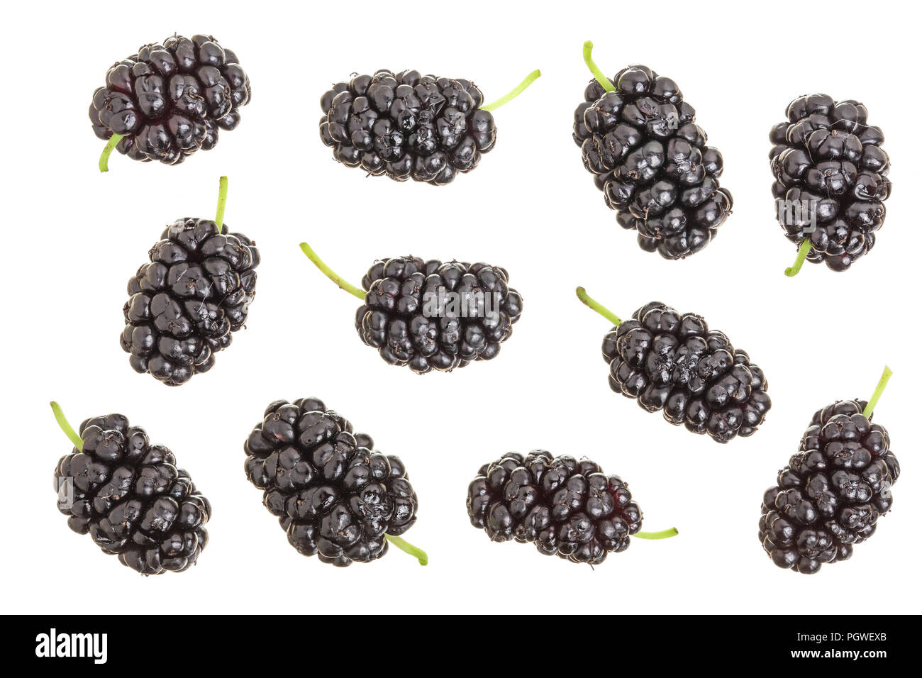 Mulberry berry isolated on white background. Top view. Flat lay Stock ...