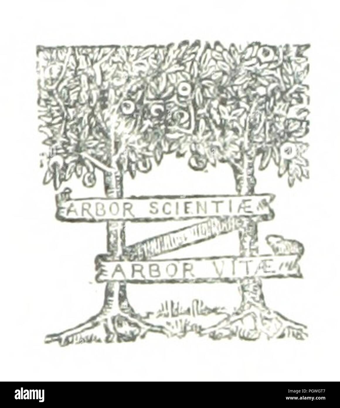 Walter page Cut Out Stock Images & Pictures - Alamy