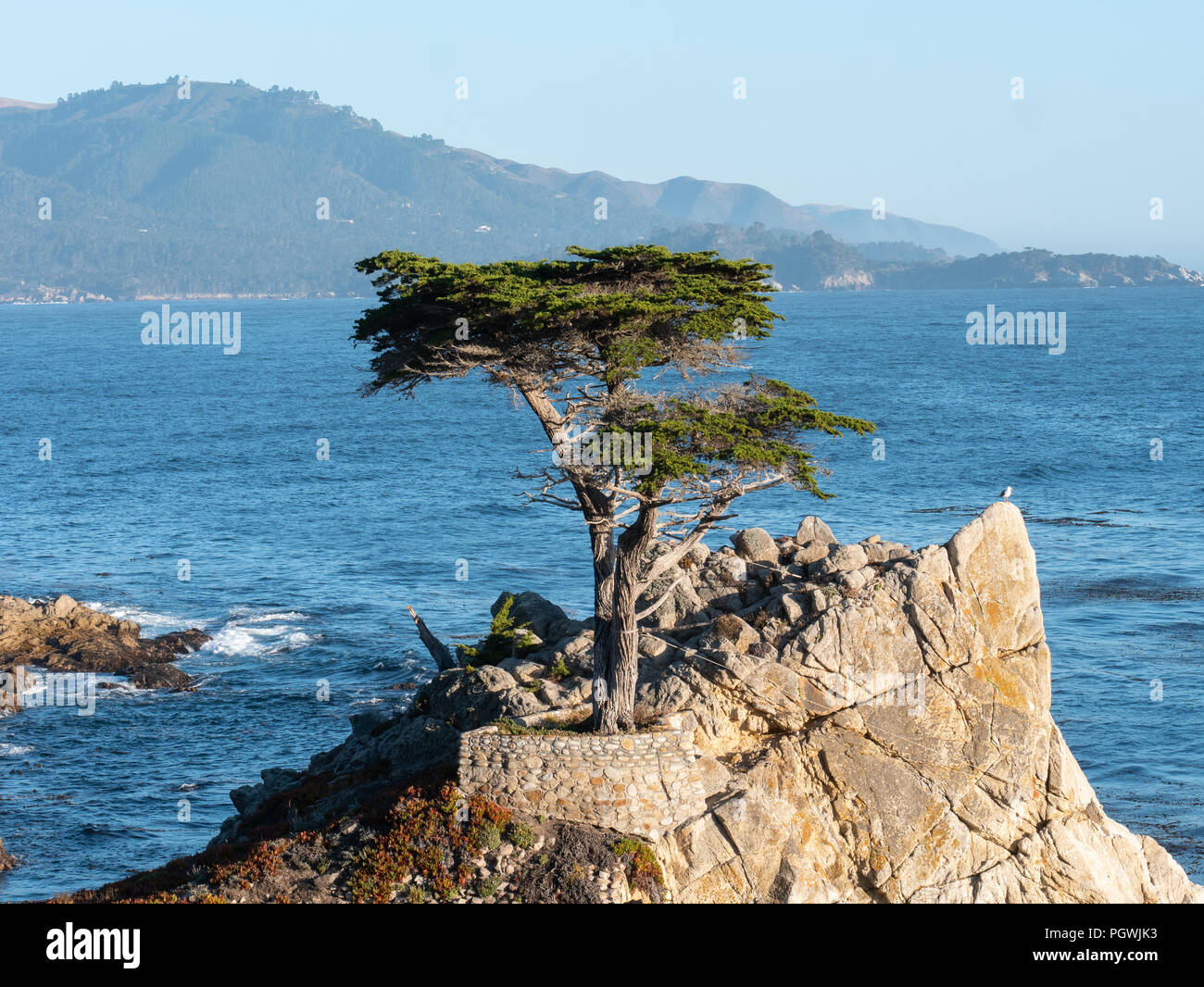 Pebble beach golf california view hi-res stock photography and images ...
