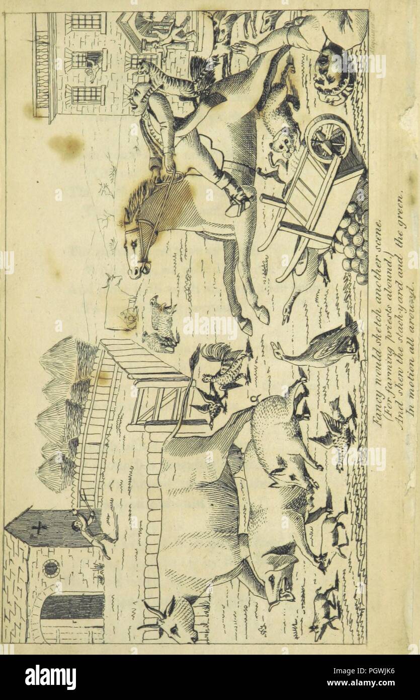 Seriocomic hi-res stock photography and images - Alamy