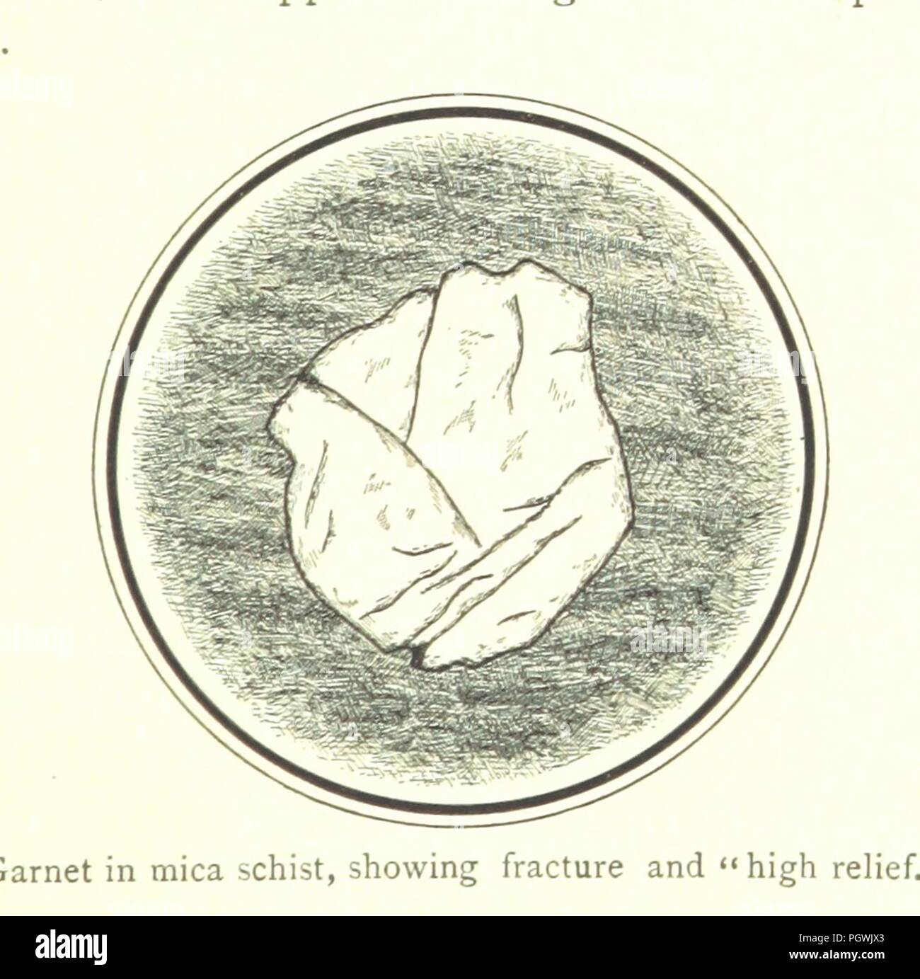 Image from page 35 of 'Minerals in Rock Sections. The practical methods ...