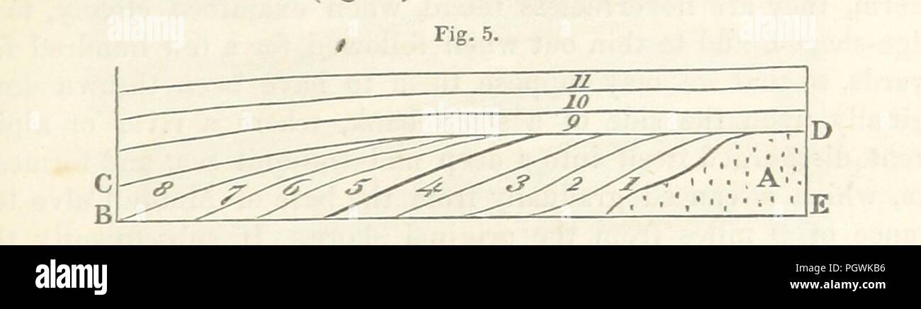 Image from page 41 of 'A Manual of Elementary Geology. ... Third and ...
