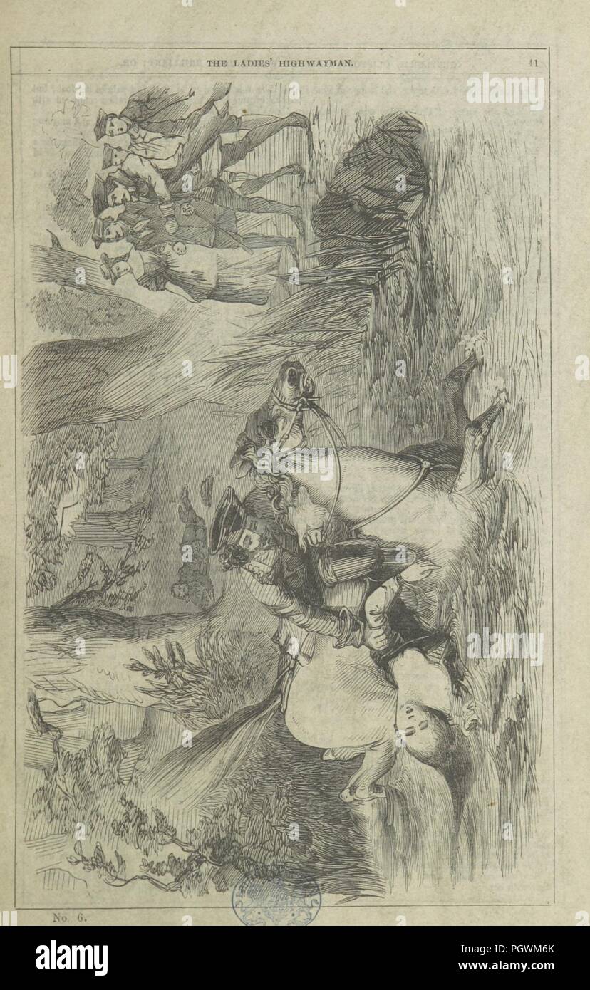 Brilliant mare hi-res stock photography and images - Alamy