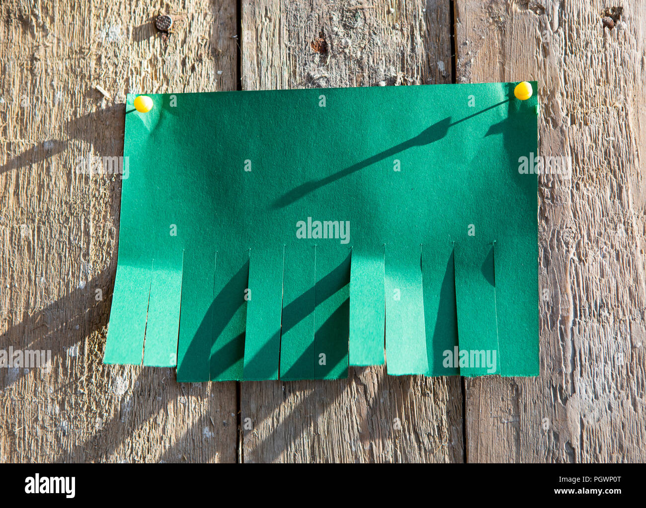 Blank green paper with tear off tabs Stock Photo - Alamy
