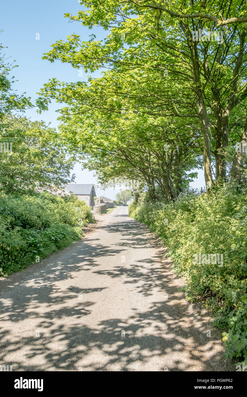 Broadhaven wales hi-res stock photography and images - Alamy