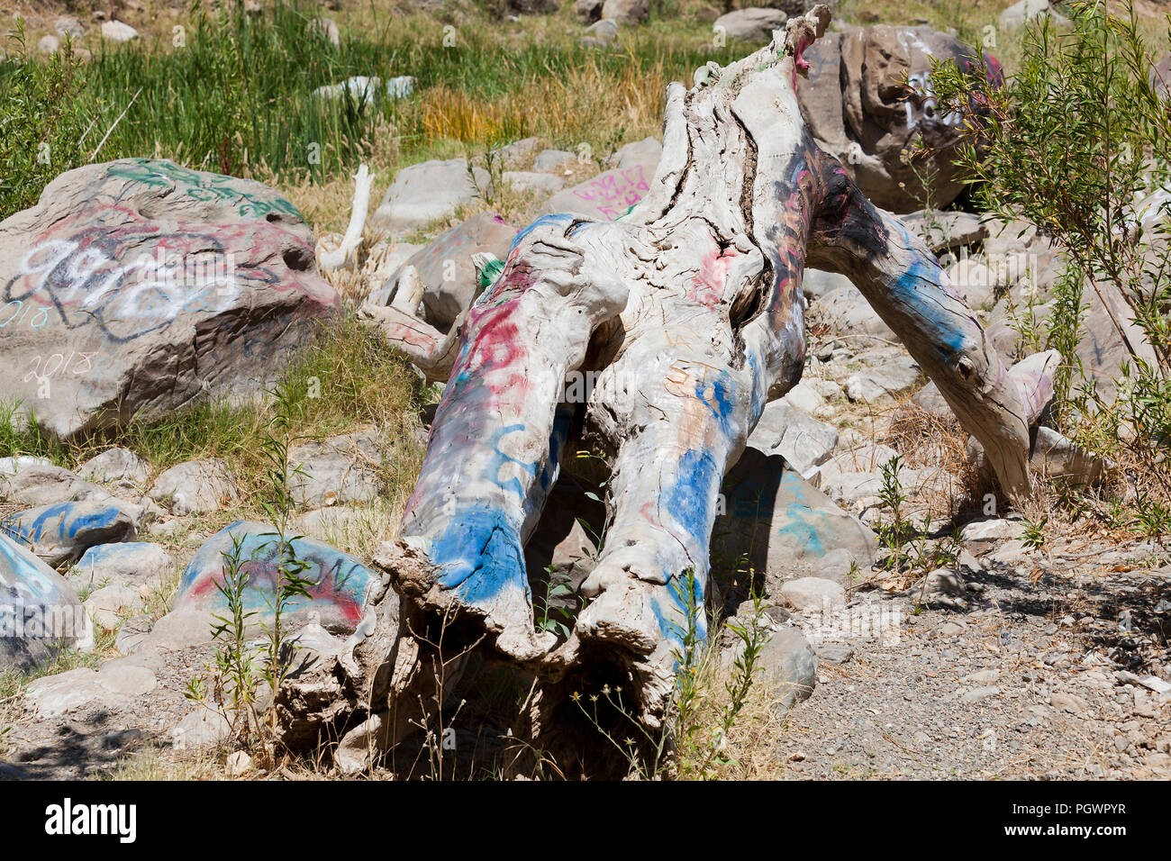 Graffiti fallen tree hi-res stock photography and images - Alamy