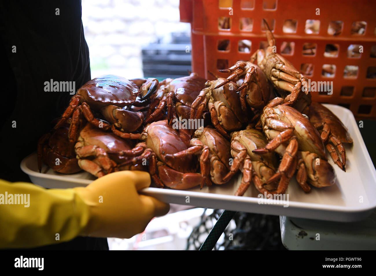 Freshley landed and cooked crabs at the shop of fisherman John Lee in ...