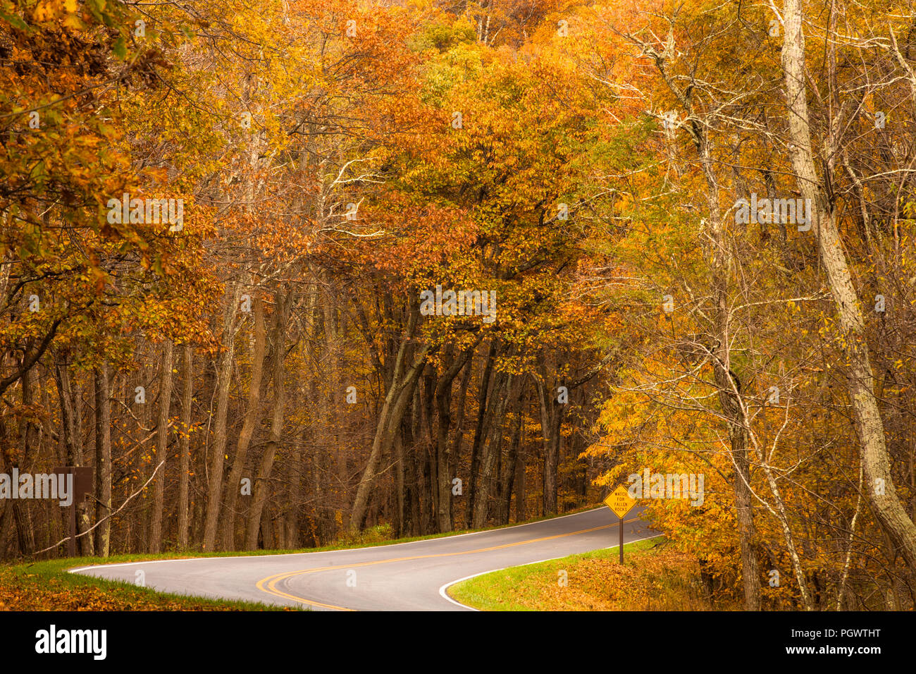 Fall colors along the Blue Ridge Parkway Stock Photo - Alamy