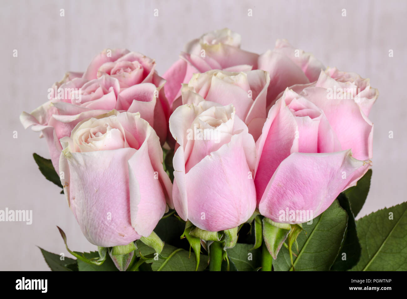 Pink roses bouquet isolated on white background Stock Photo - Alamy